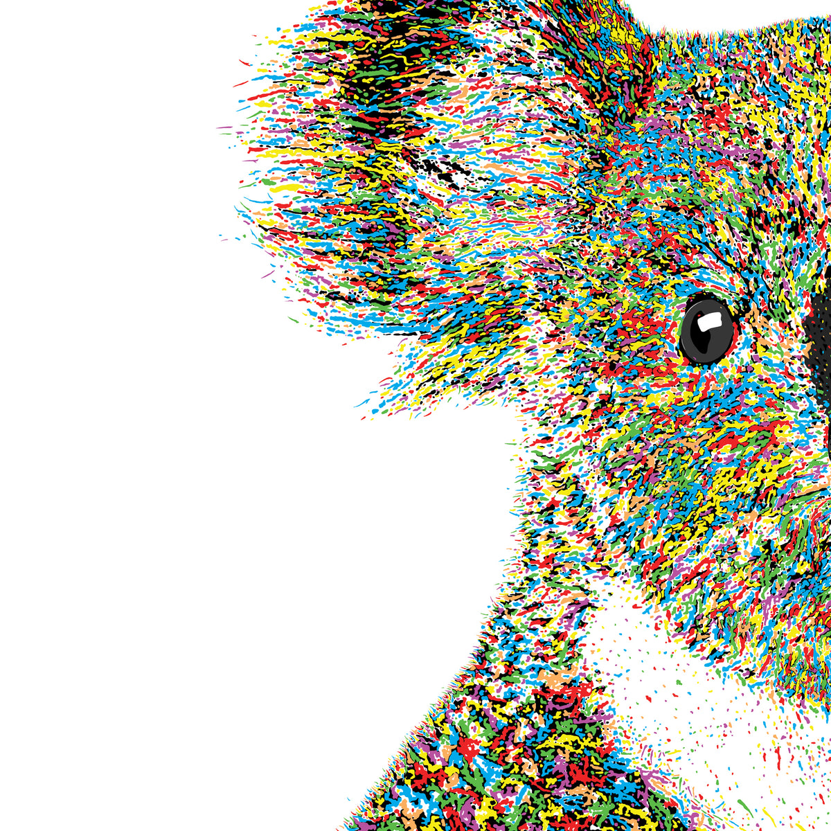 Matilda the Koala | Koala Print by Sydney Digital Artist Atty